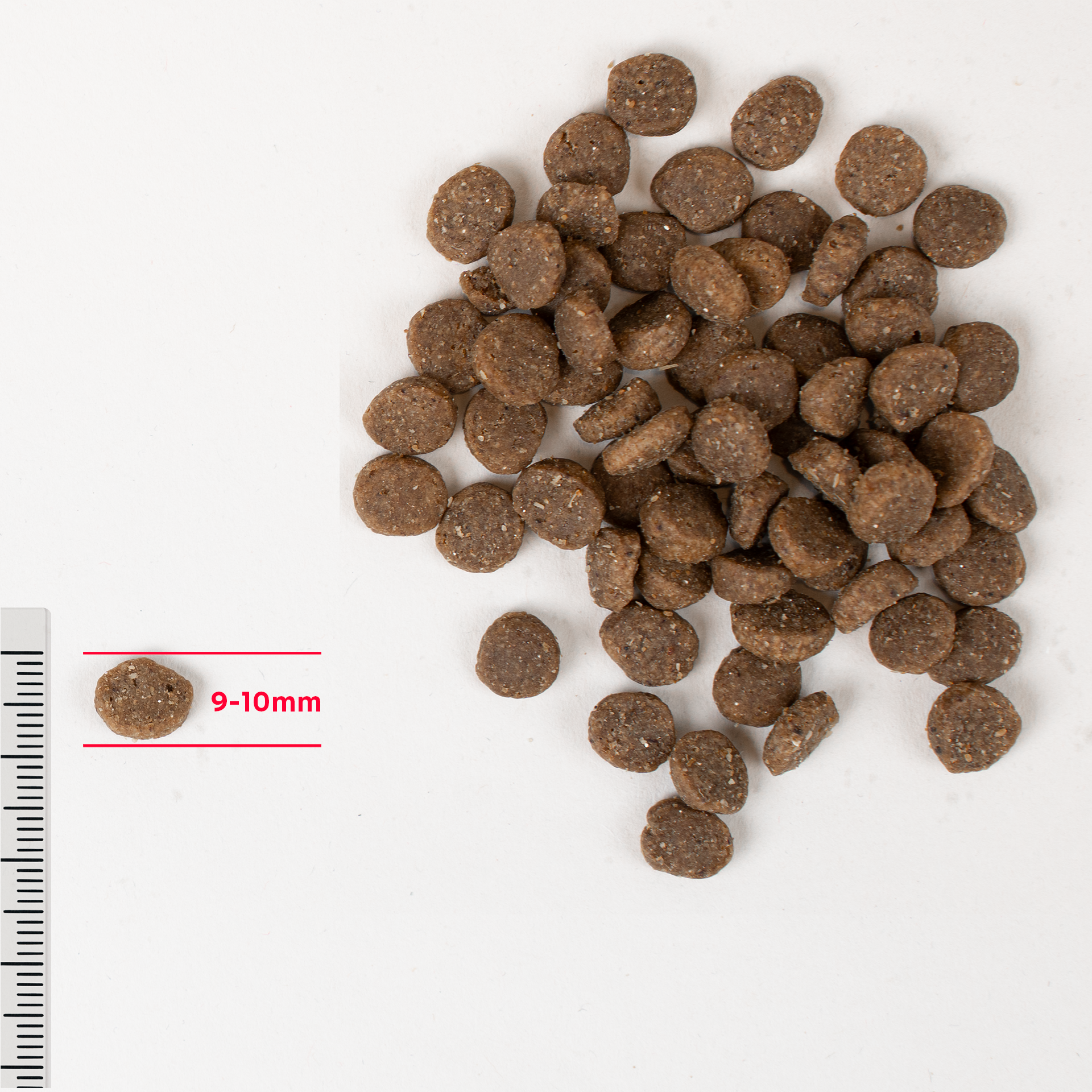 ZOO GOOD Chicken Digest Small Breed | ZOO.no