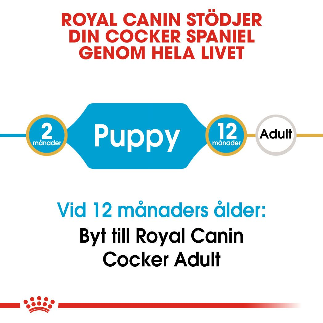 Royal Canin - Cockervalp tilpasset Cocker Spaniel-valper