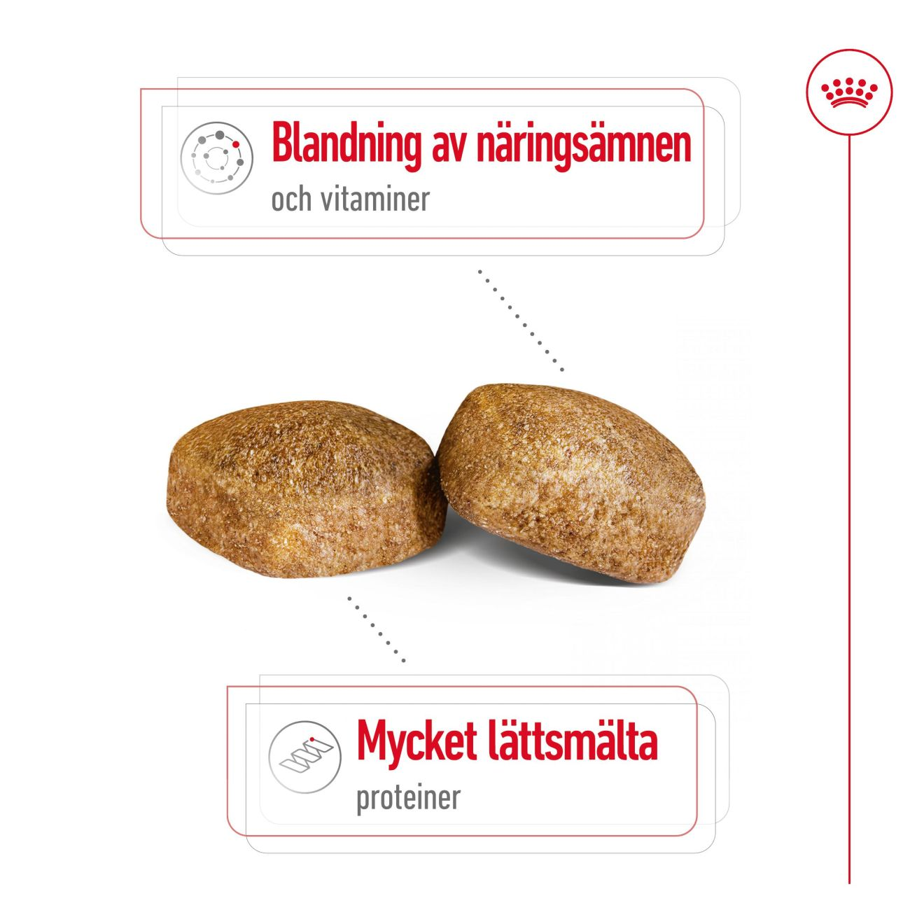 Royal Canin Giant Adult tørrfôr for hunder 15 kg | ZOO.no