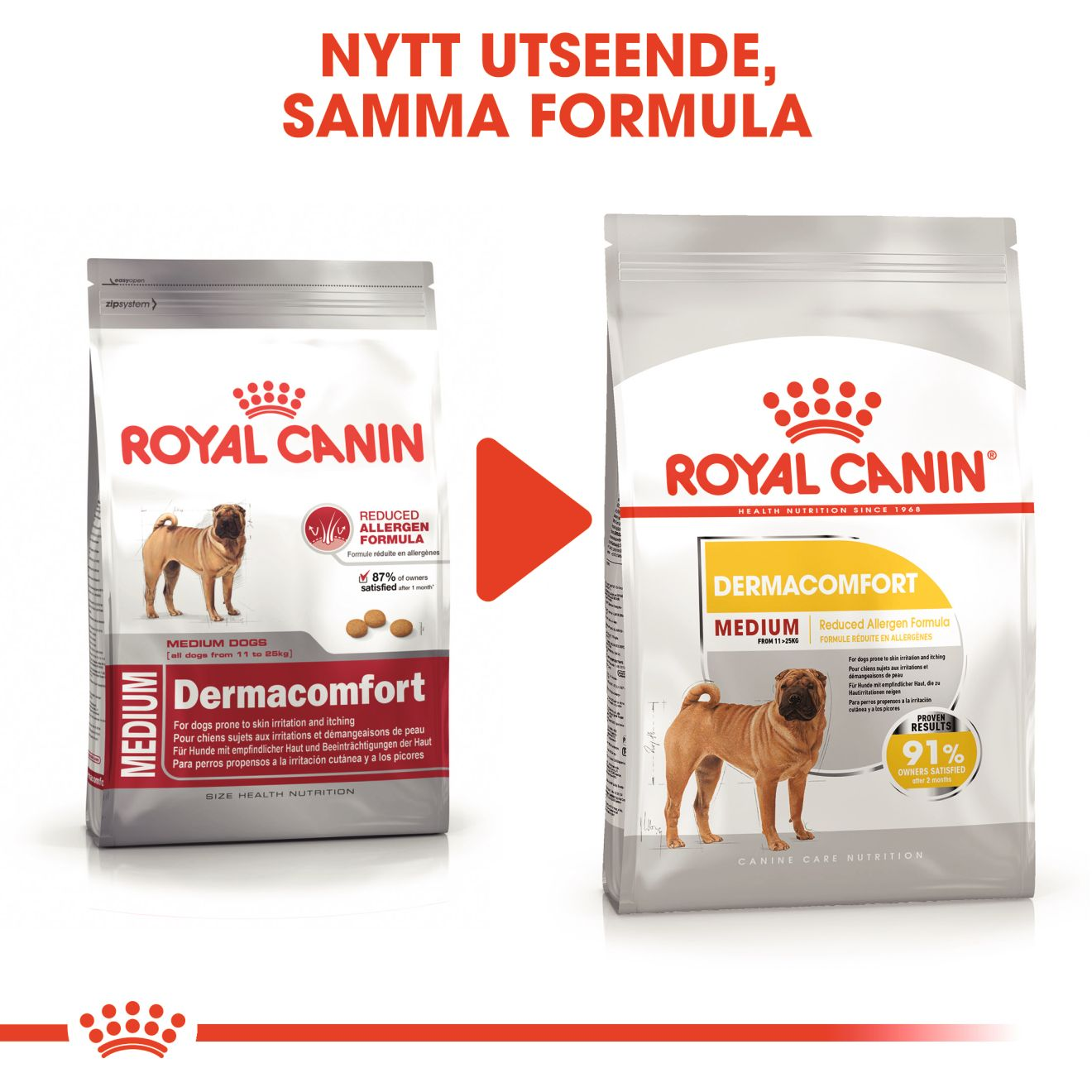Royal Canin Dermacomfort Adult Medium tørrfôr for hunder 12 kg | ZOO.no