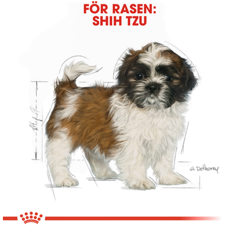 Royal Canin Shih Tzu Puppy Torrfoder för hundvalp 1,5 kg | ZOO.se