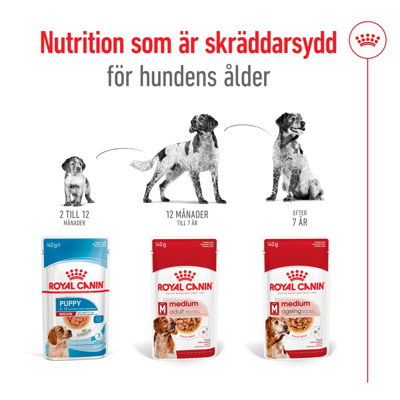 Royal Canin SHN Medium Adult våtfôr for hunder 140 g x 10 stk | ZOO.no