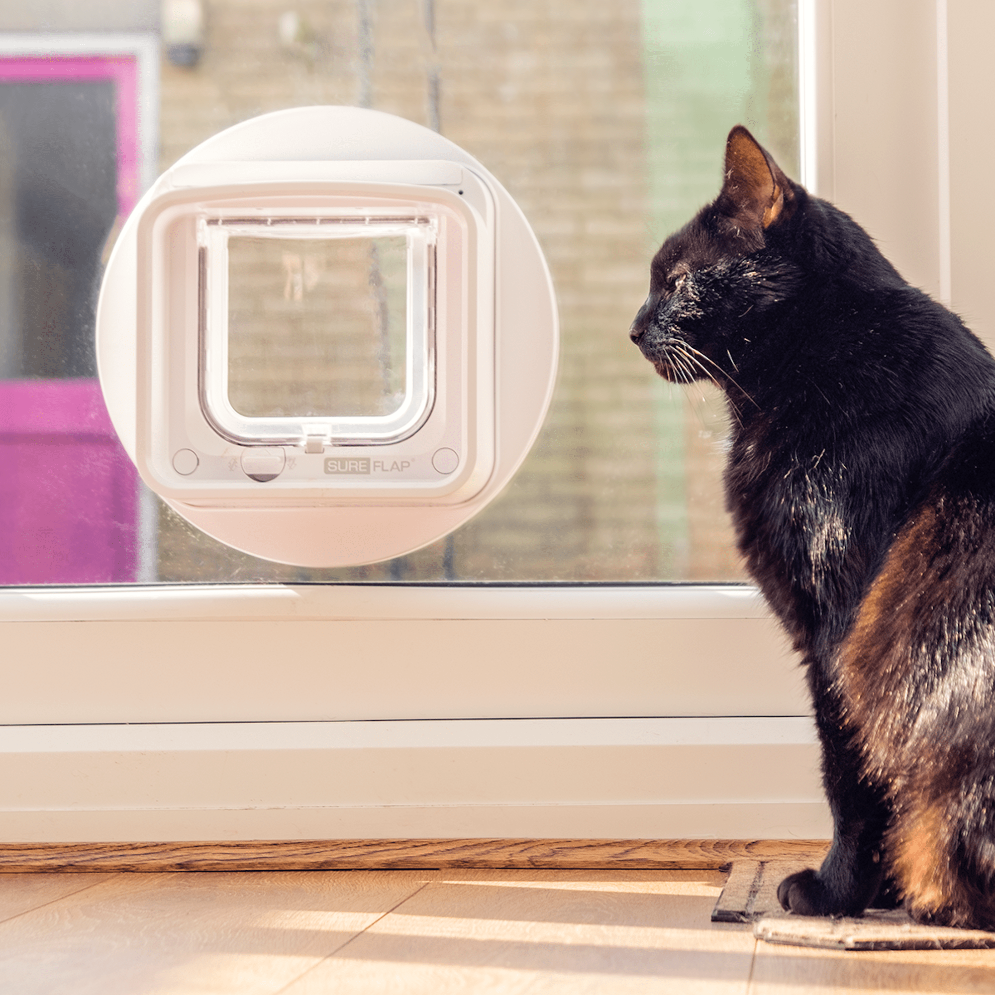 SureFlap Microchip Cat Flap Connect kissan luukku + hubi 210x210 mm ...