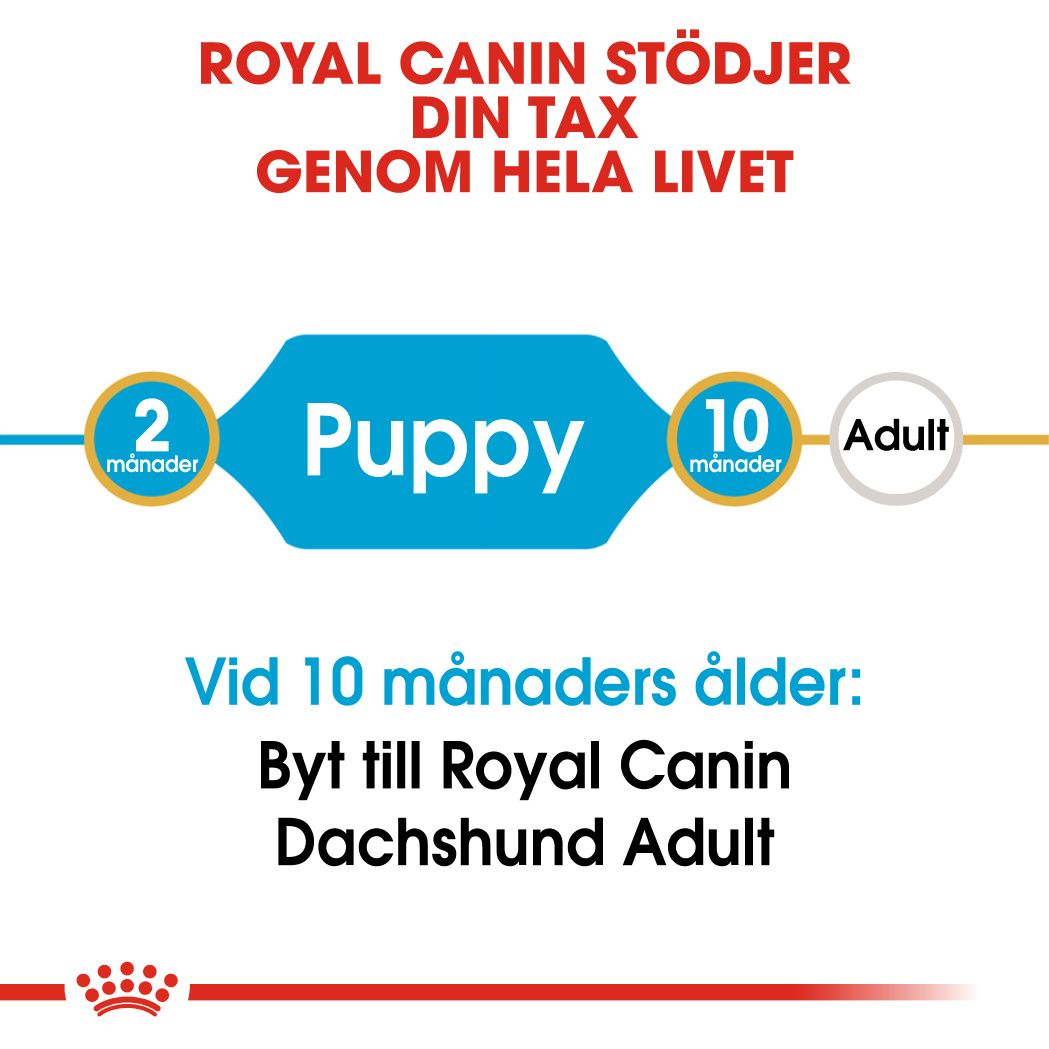 Royal Canin Dachshund Puppy Torrfoder för hundvalp 1,5 kg | ZOO.se
