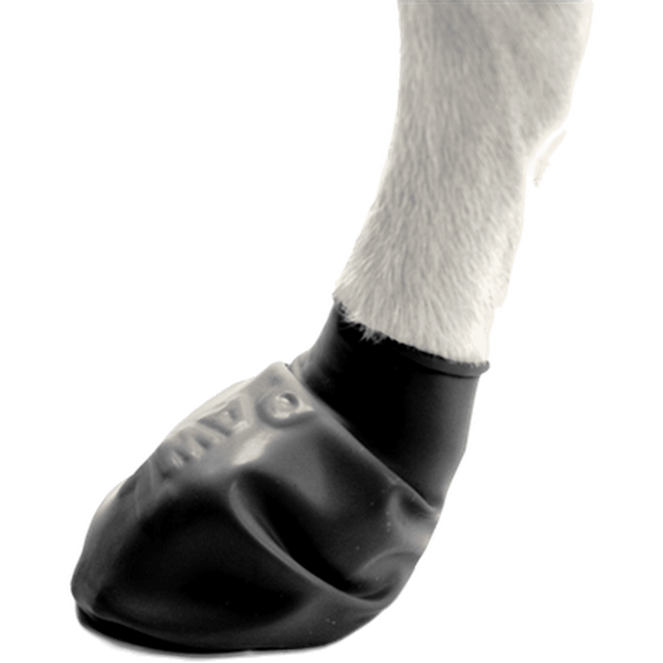 Disposable Reusable Boots | ZOO.fi